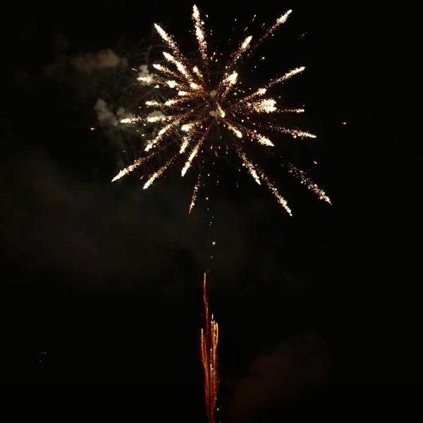 Wholesale 1000 Gram Cakes